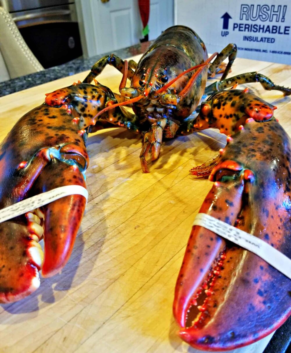 25 Reasons to Order Seafood Online - LobsterAnywhere.com