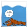 How do Lobsters Grow? All about Lobster Molting
