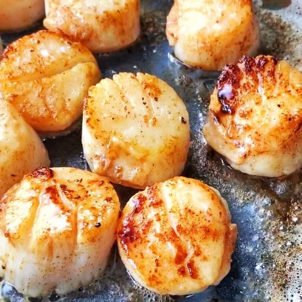 What are Diver Scallops? - Lobsteranywhere